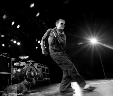 VIDEO: The Van Halen ‘Tattoo’ Video Is Here Now - Noise11.com