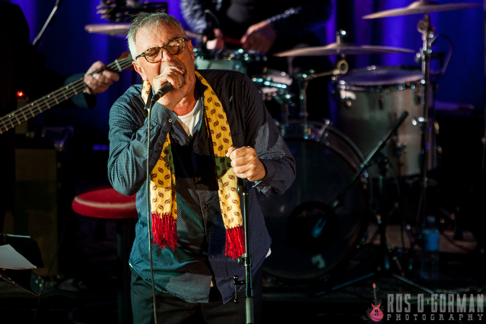 Stephen Cummings Turns 70 - Noise11.com