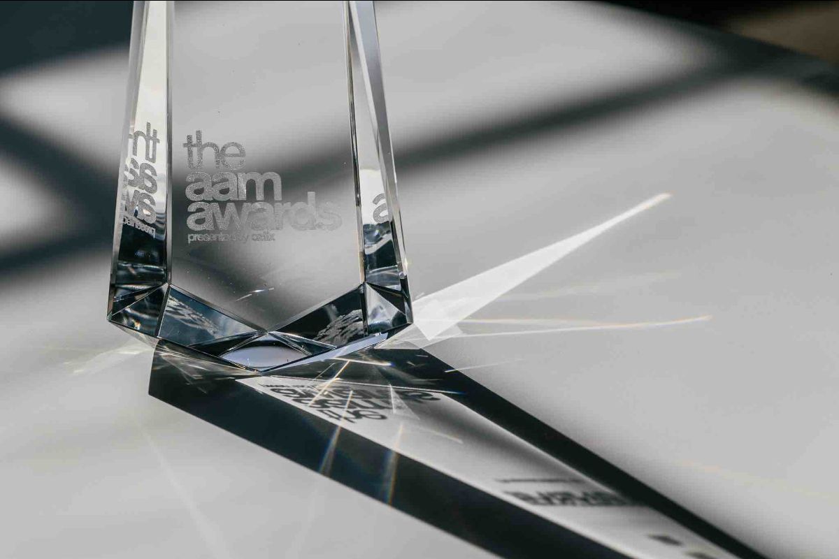 AAM Award Winners Announced - Noise11.com