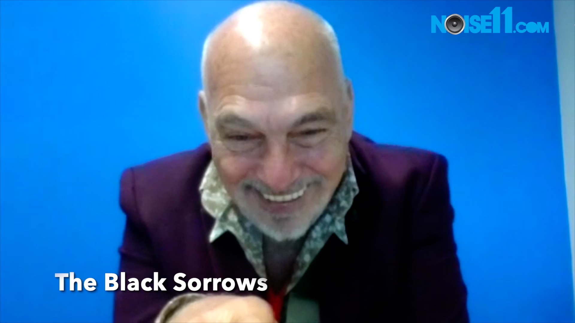The Black Sorrows - Noise11.com