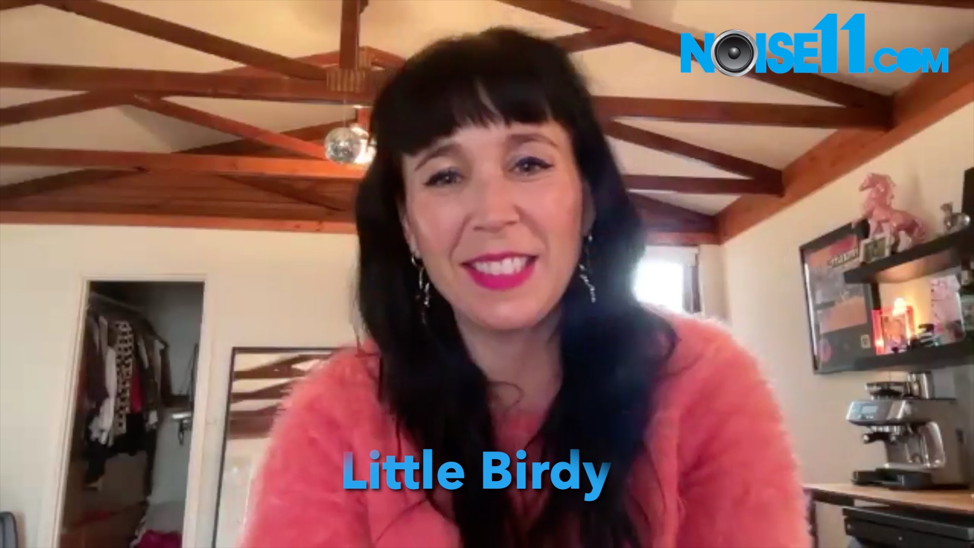 Little Birdy - Noise11.com