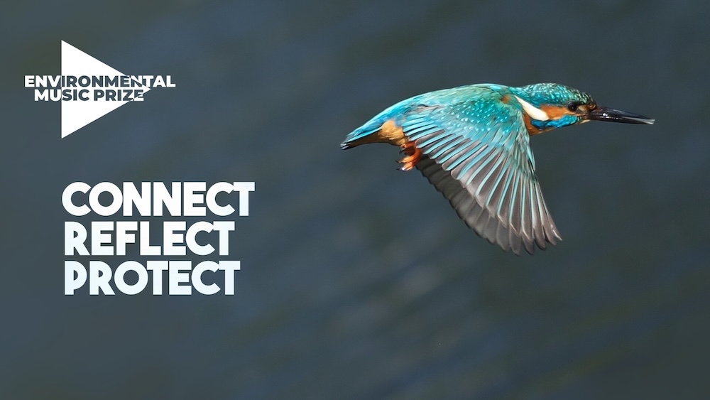 Environmental Music Prize 2025: Last Chance For Entries As Australia’s ...
